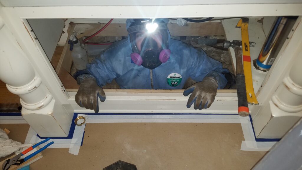 Water Damage Restoration - MSB Disaster Recovery Services, Inc